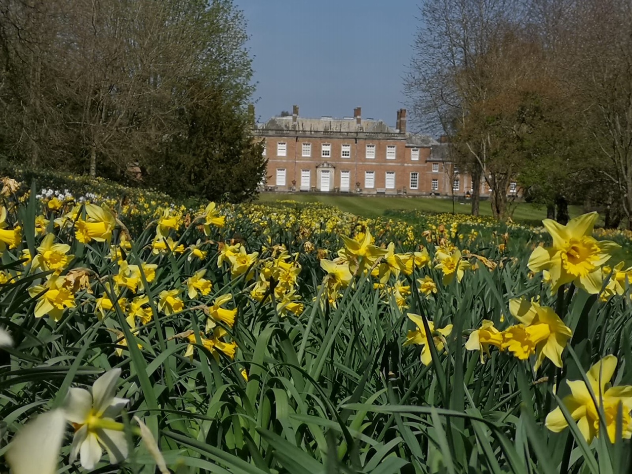 New vacancy: ABDO College Lecturer – ABDO College